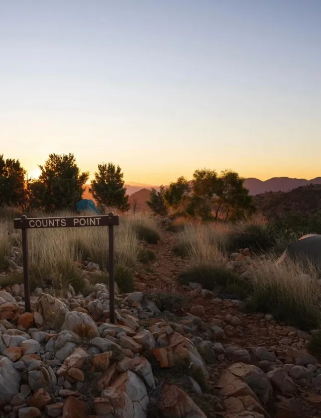 Camping Along the Larapinta Trail: The Best Campsites and Essentials